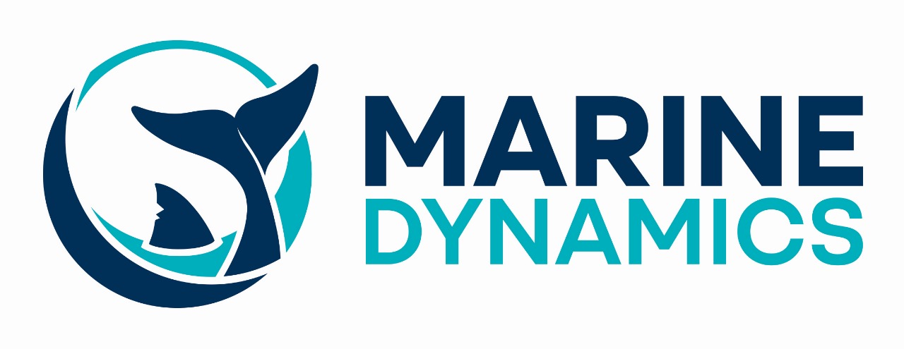 Explore. Educate. Empower. LinkUp with Marine Dynamics in Gansbaai | Southern Africa Tourism ...